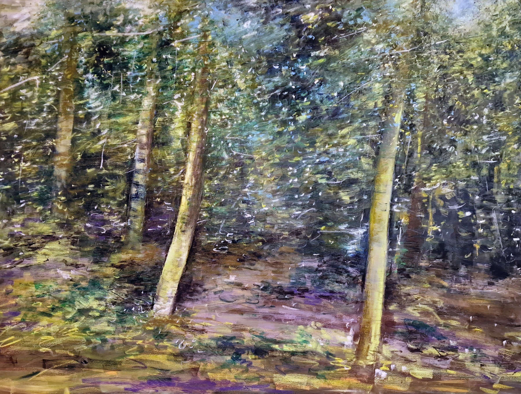 North german forest -1- Arup J. Paul